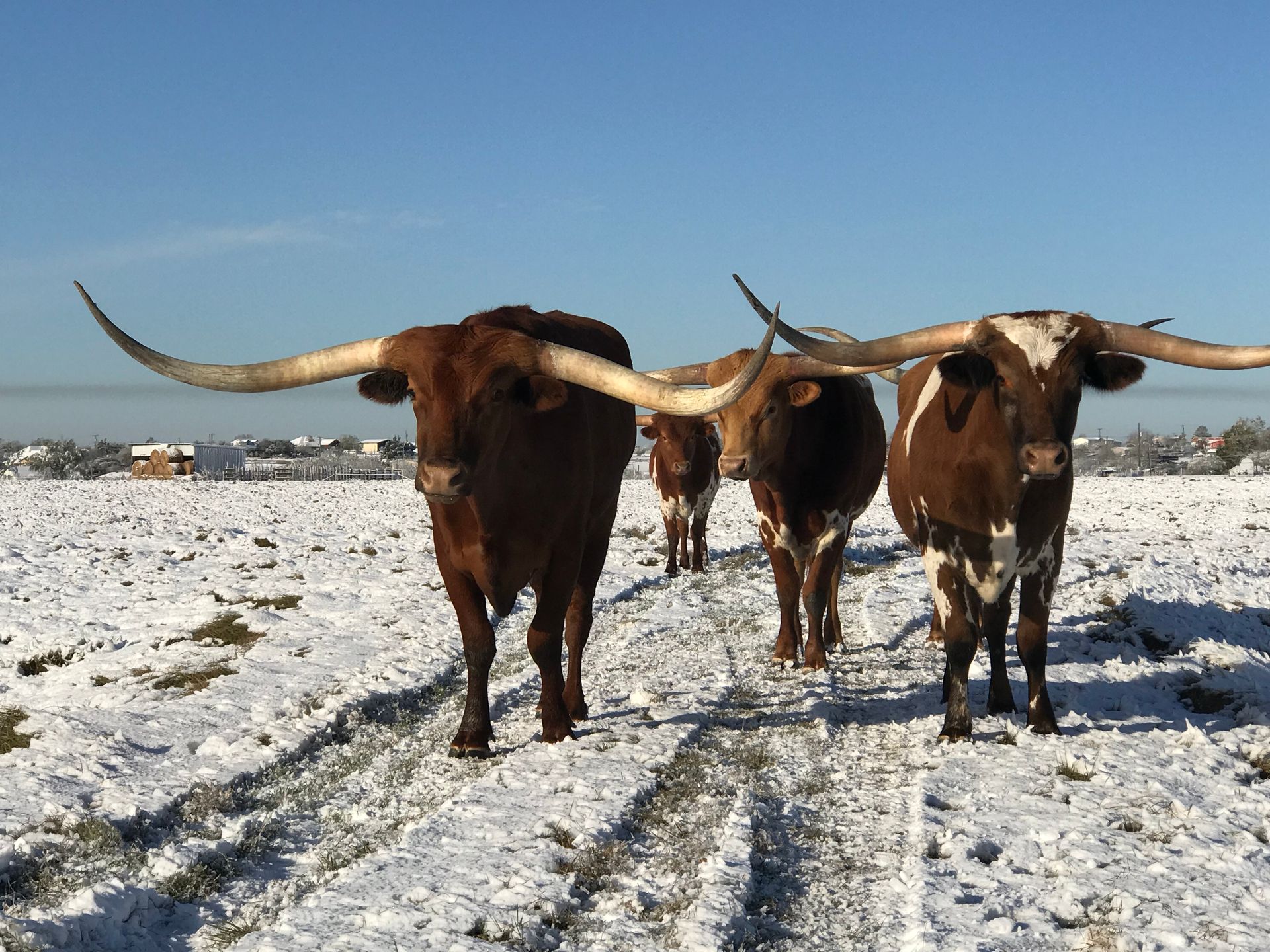 Gallery Longhorn RV Resort & Storage | Austin, TX