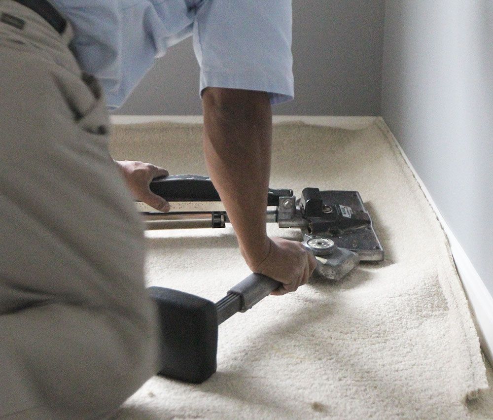 Gallery | Absolute Carpet Care