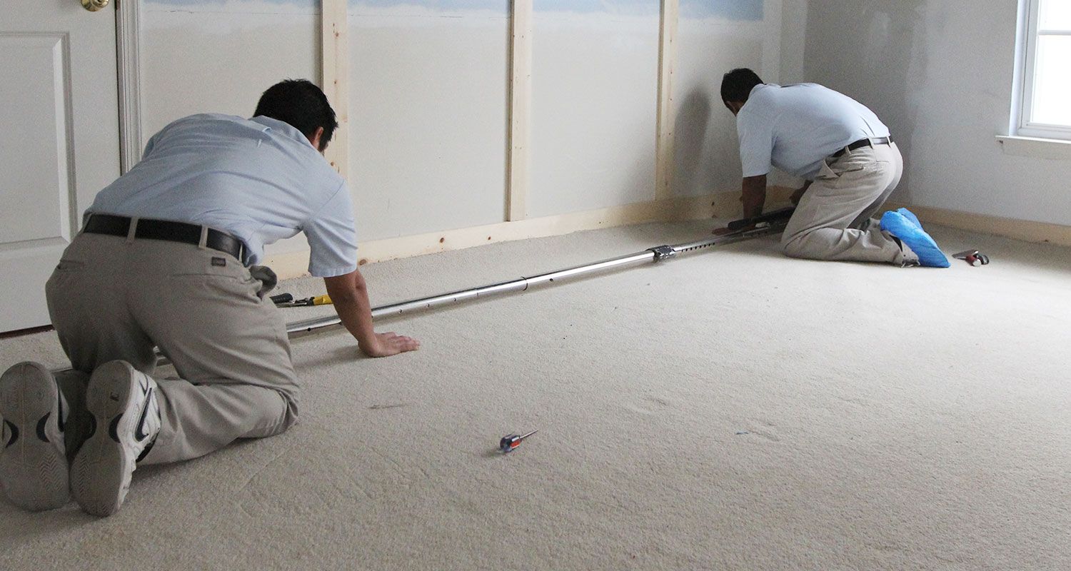 Gallery | Absolute Carpet Care