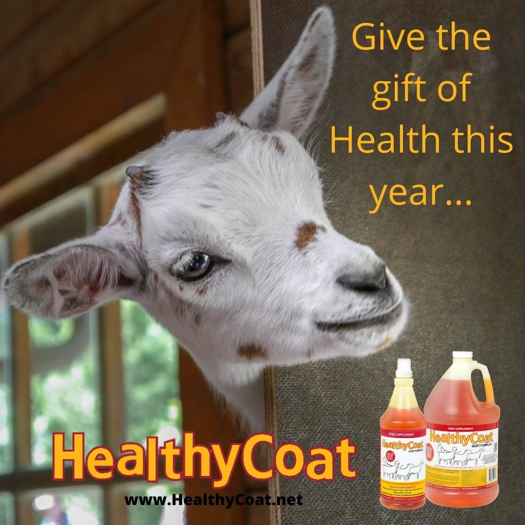 Goat Feed Supplement | Goat Nutrition | Urbandale, IA