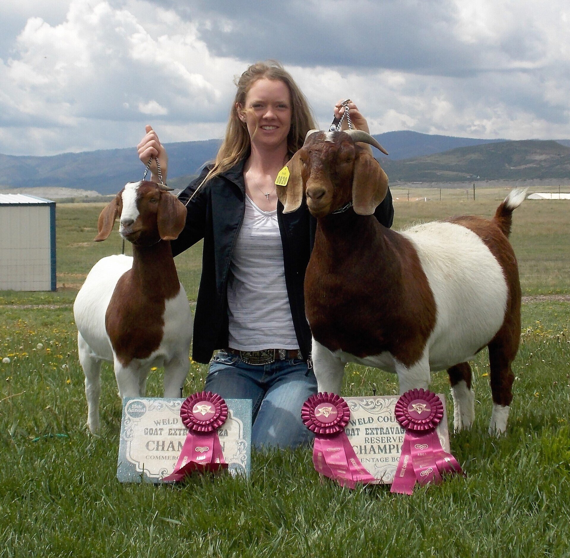 Goat Feed Supplement | Goat Nutrition | Urbandale, IA