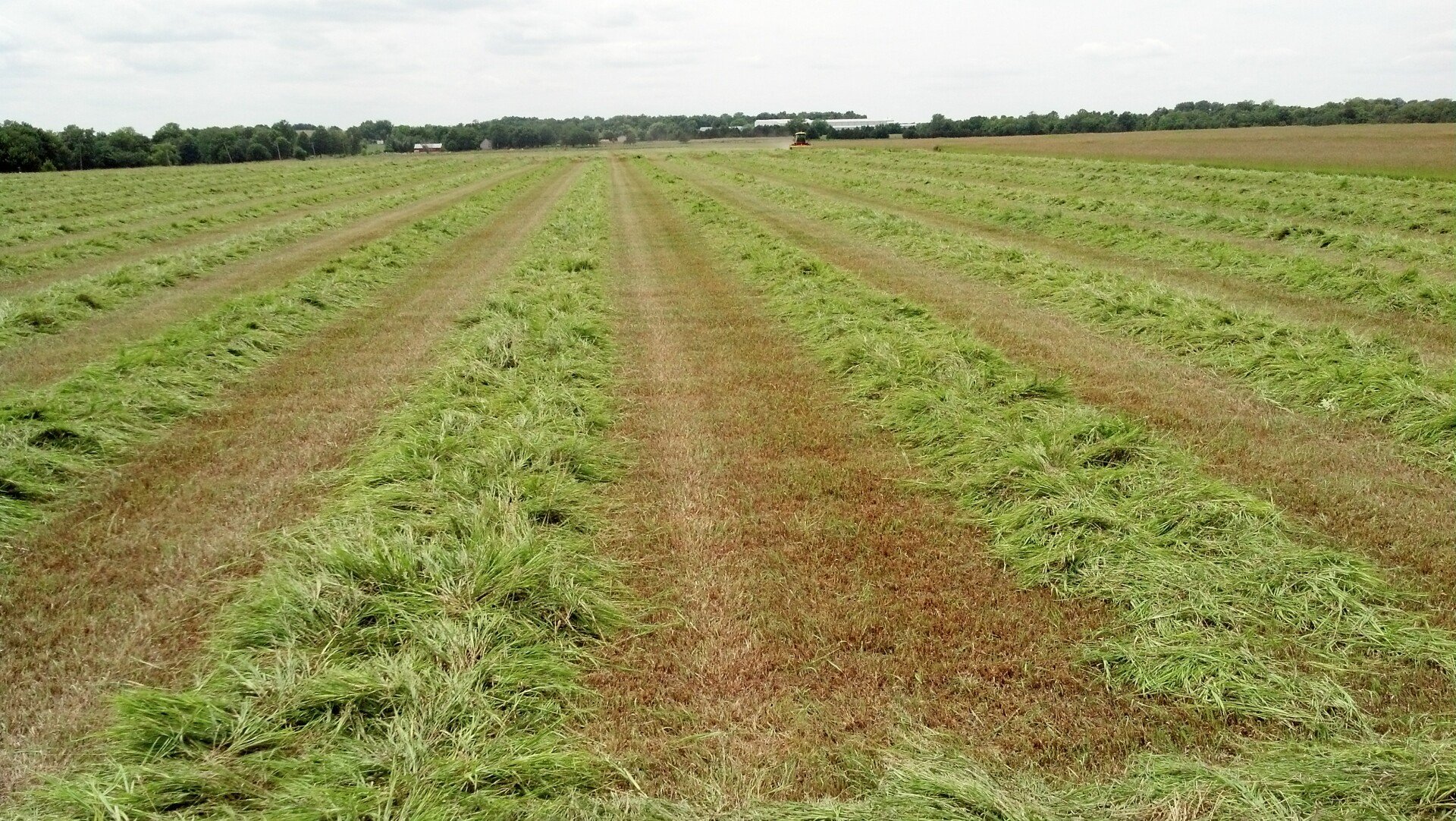 Spencer Farms LLC Photo Gallery | Ottawa, KS