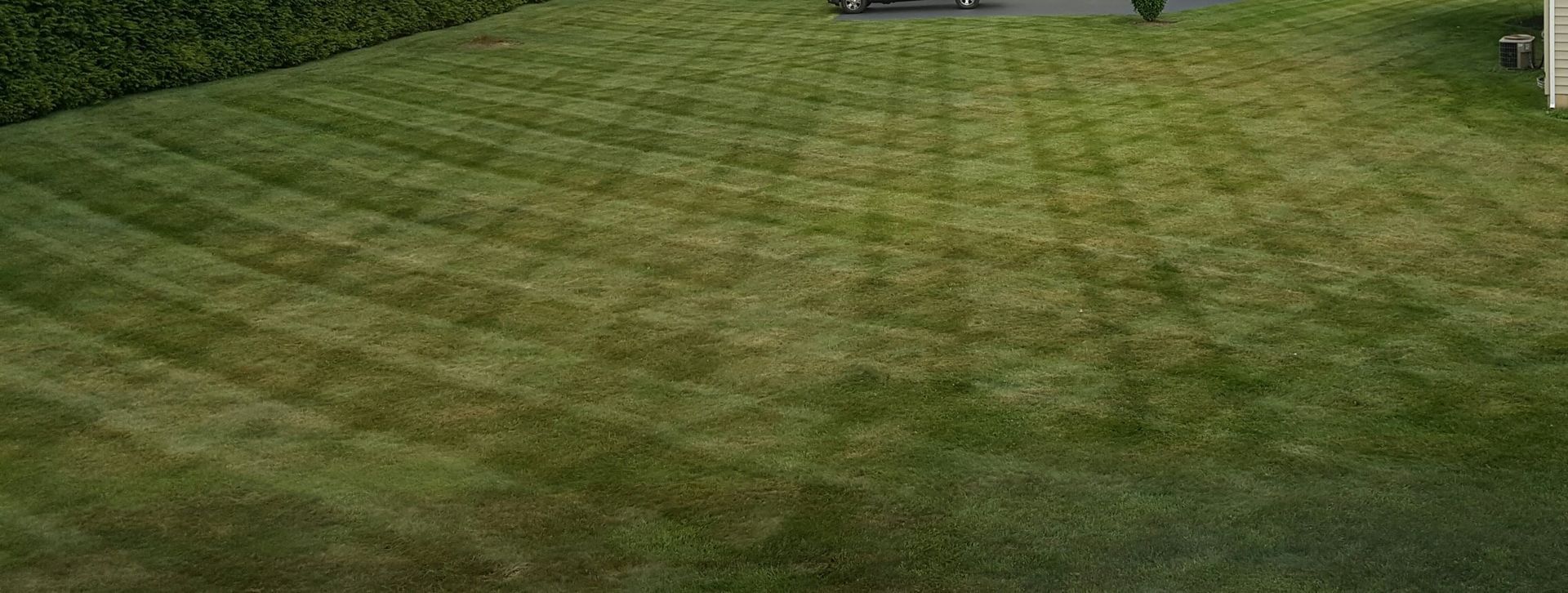 Lawn Care Services | Garnet Valley | Chadds Ford | Glen Mills