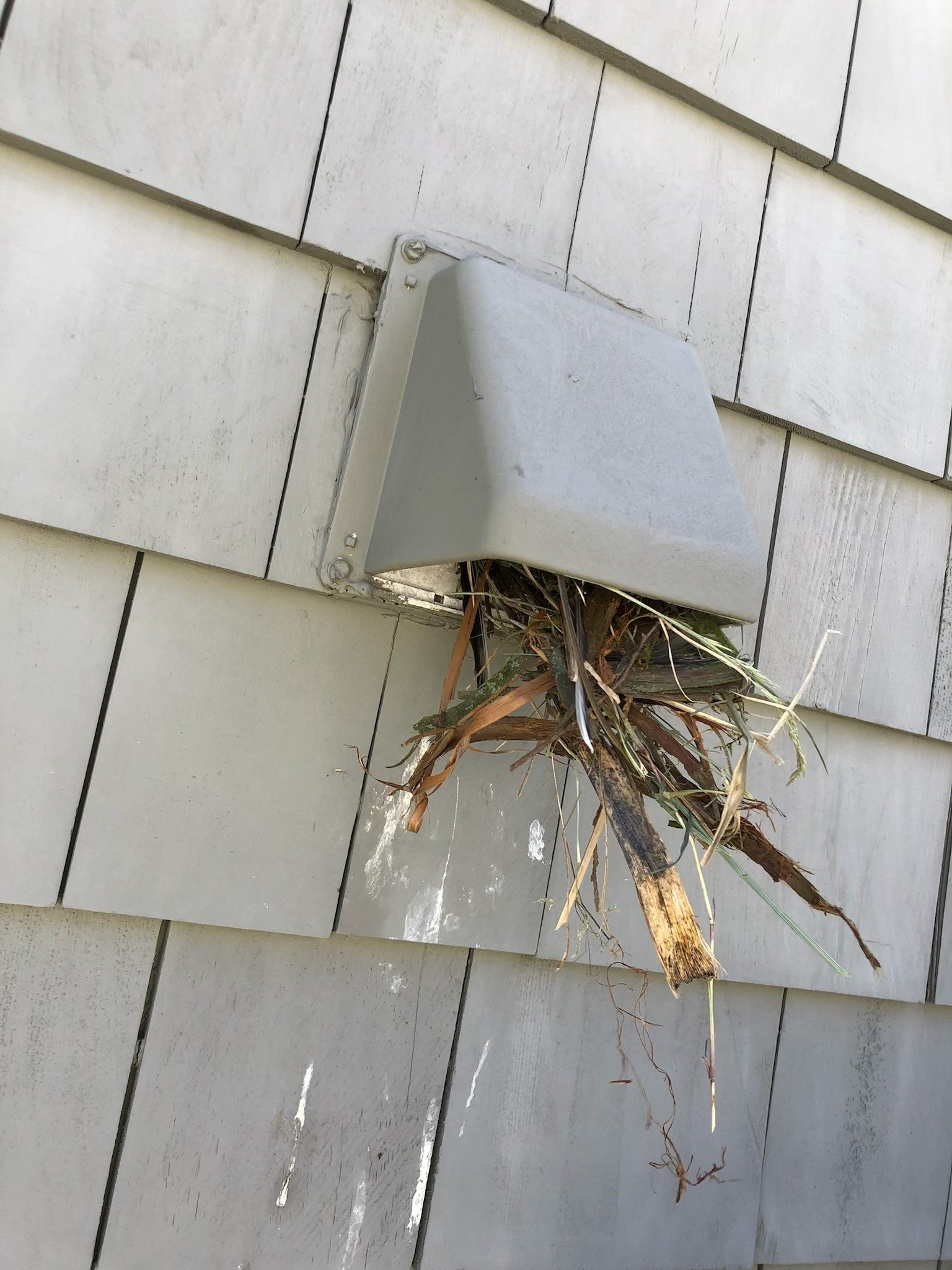 Dryer Vent Cleaning Toms River. Affordable Dryer Vent & Gutter Cleaning