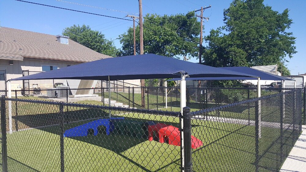 Dog Boarding Round Rock, TX | A Crate Escape
