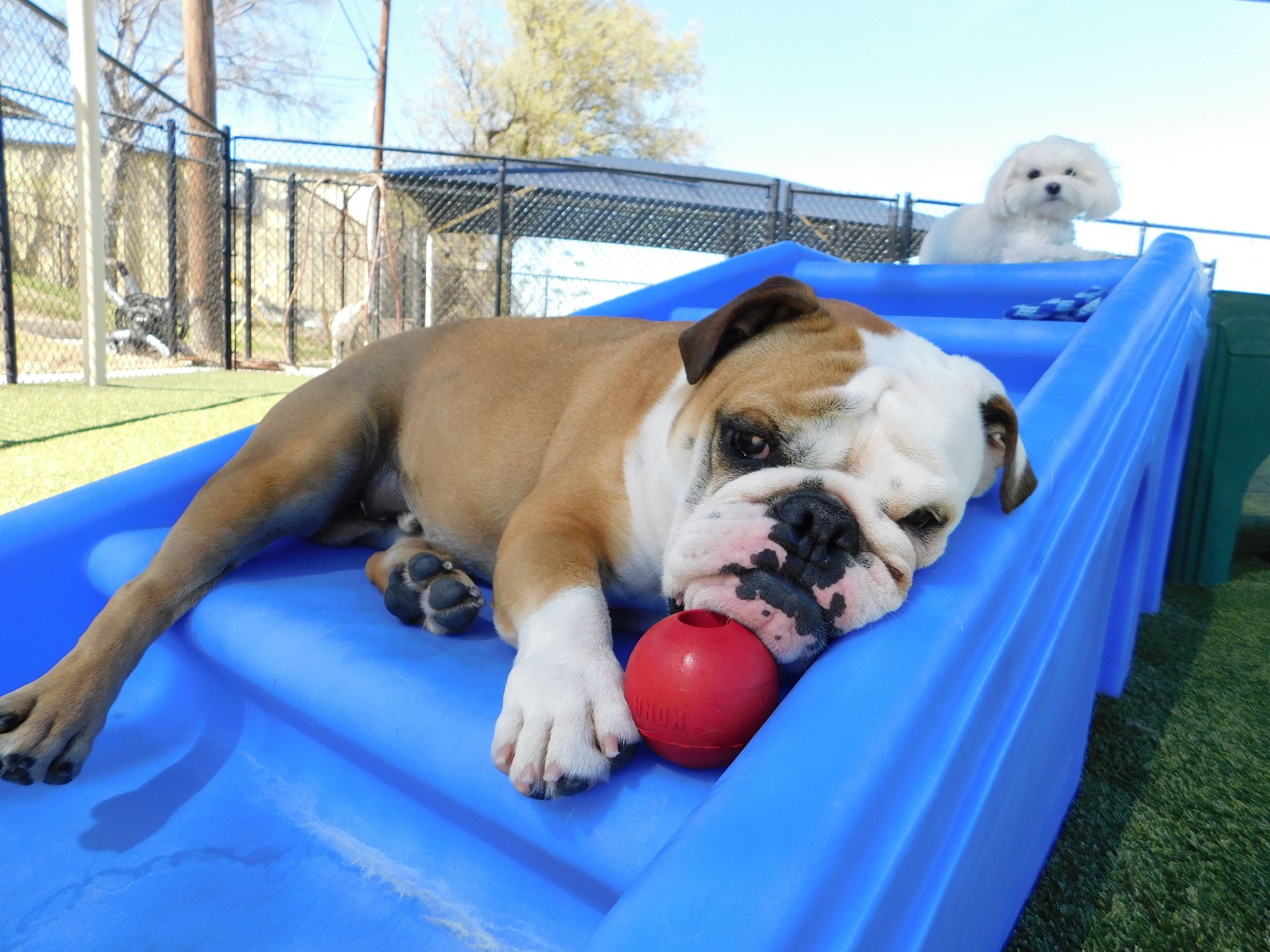 A Crate Escape Photo Gallery | Round Rock, TX