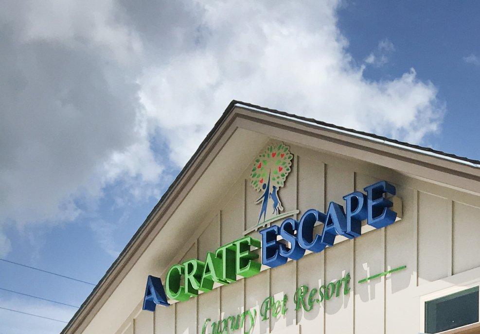 A Crate Escape Photo Gallery | Round Rock, TX