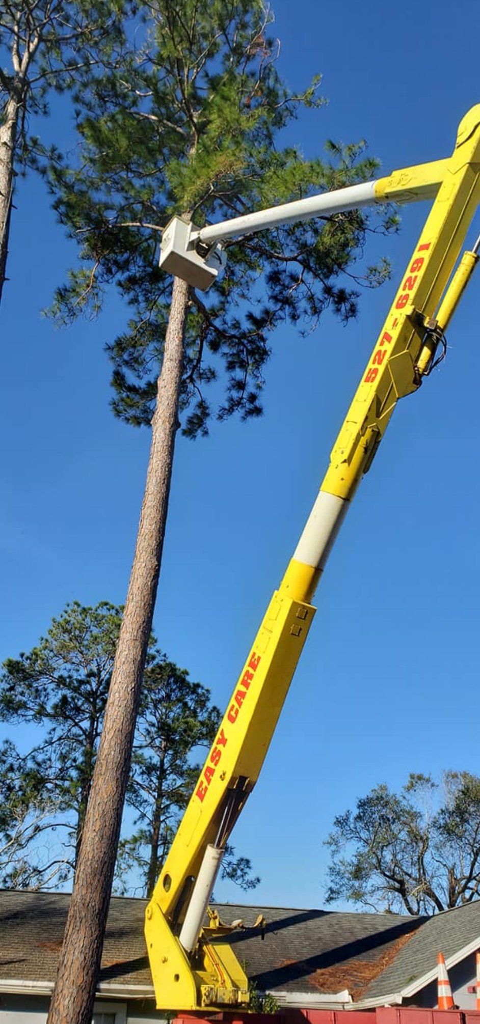 Tree Services | Easy Care Tree Service | Chipley, FL