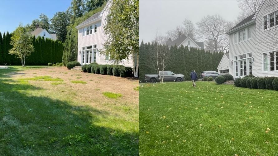 Lawn Care Services Greenwich, CT | Darien, CT | Lucky Lawn