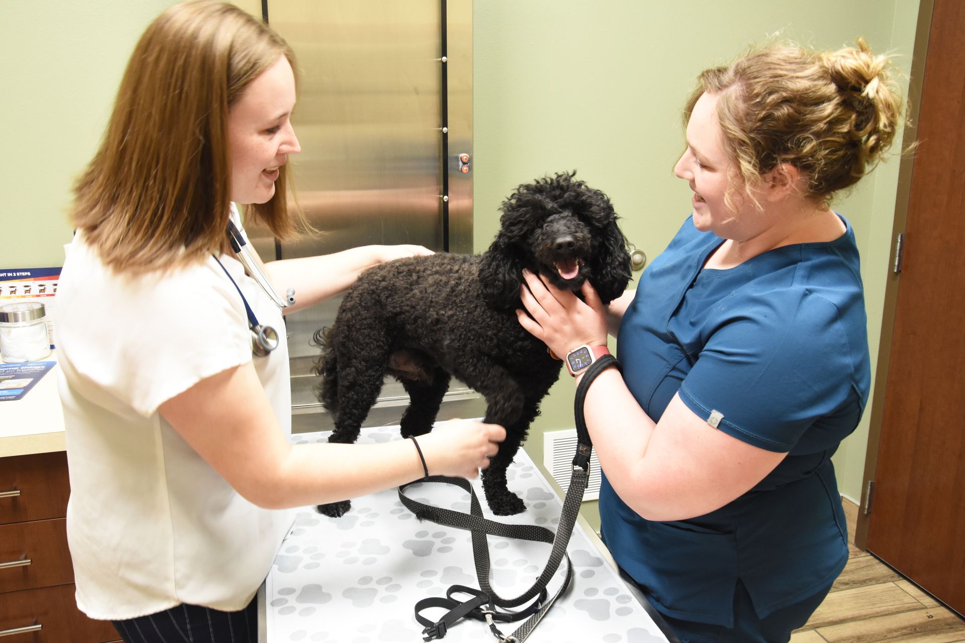 Decorah Veterinary Clinic | Veterinarian | Decorah, IA