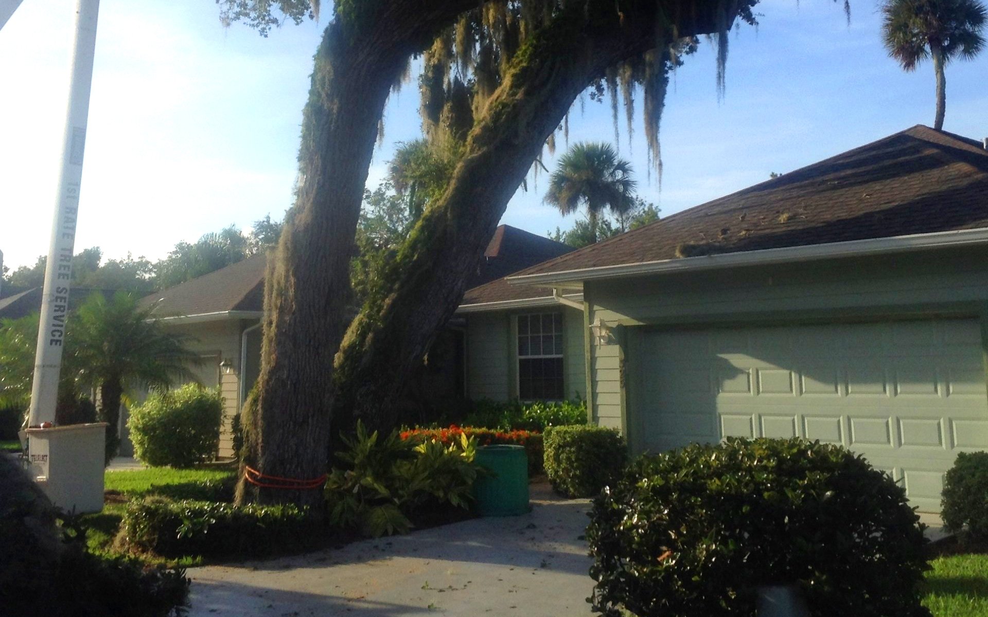 1st Rate Tree Service | Tree Care Services | Vero Beach, FL