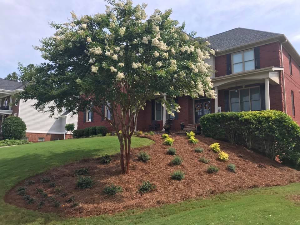 Lawn Care Companies Cumming, GA | Fischer Landscape
