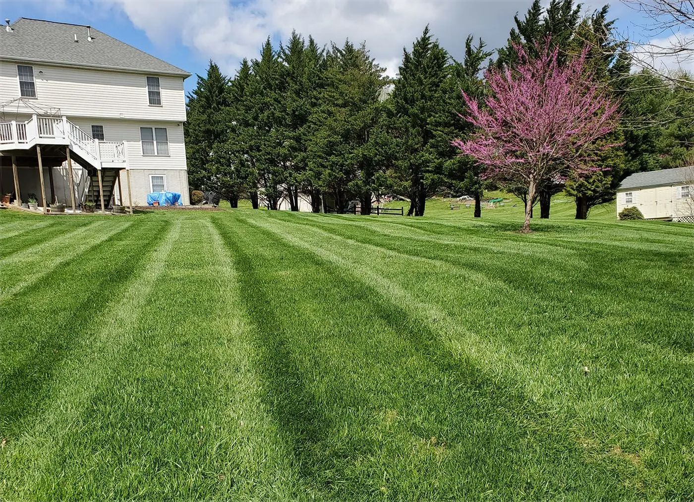 Damon's Lawn Service LLC | Landscaping Randallstown, MD