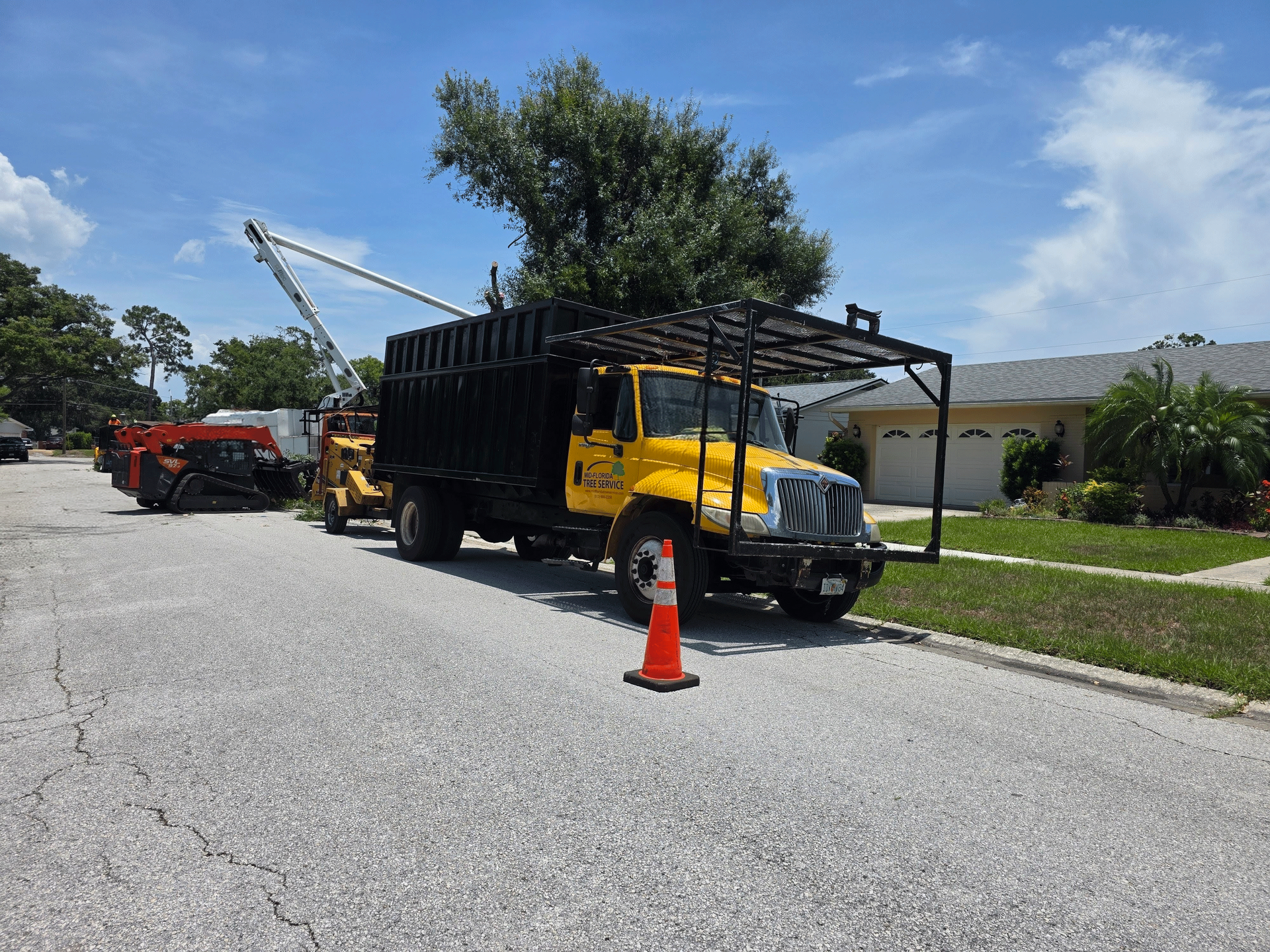 Gallery | Mid-Florida Tree Service | Hillsborough County, FL