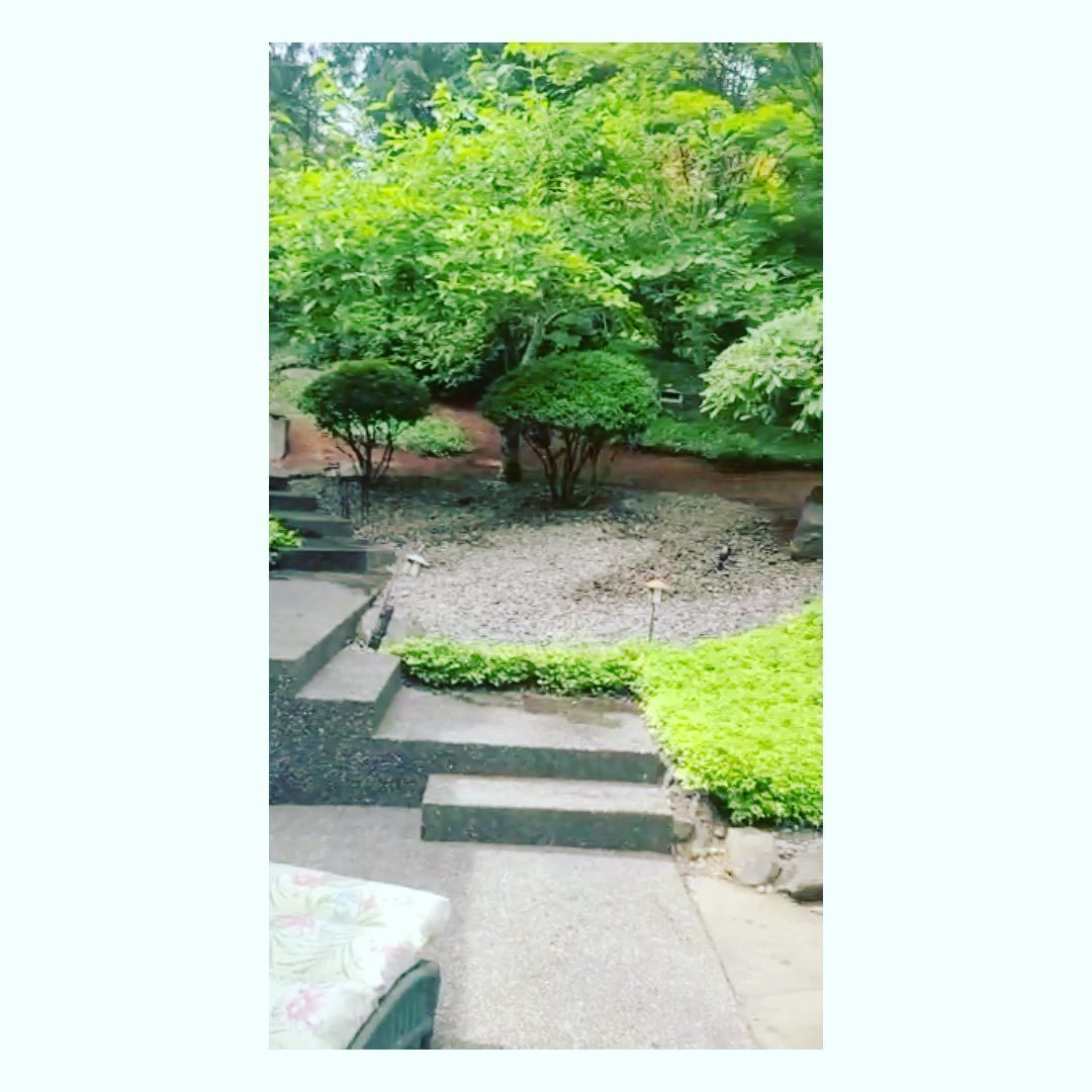 Red Bark Inc Photo Gallery | Oregon City, OR