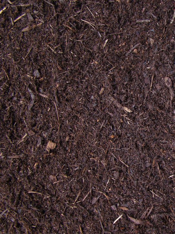 Bark Dust Happy Valley, OR | Wilsonville, OR | Red Bark Inc