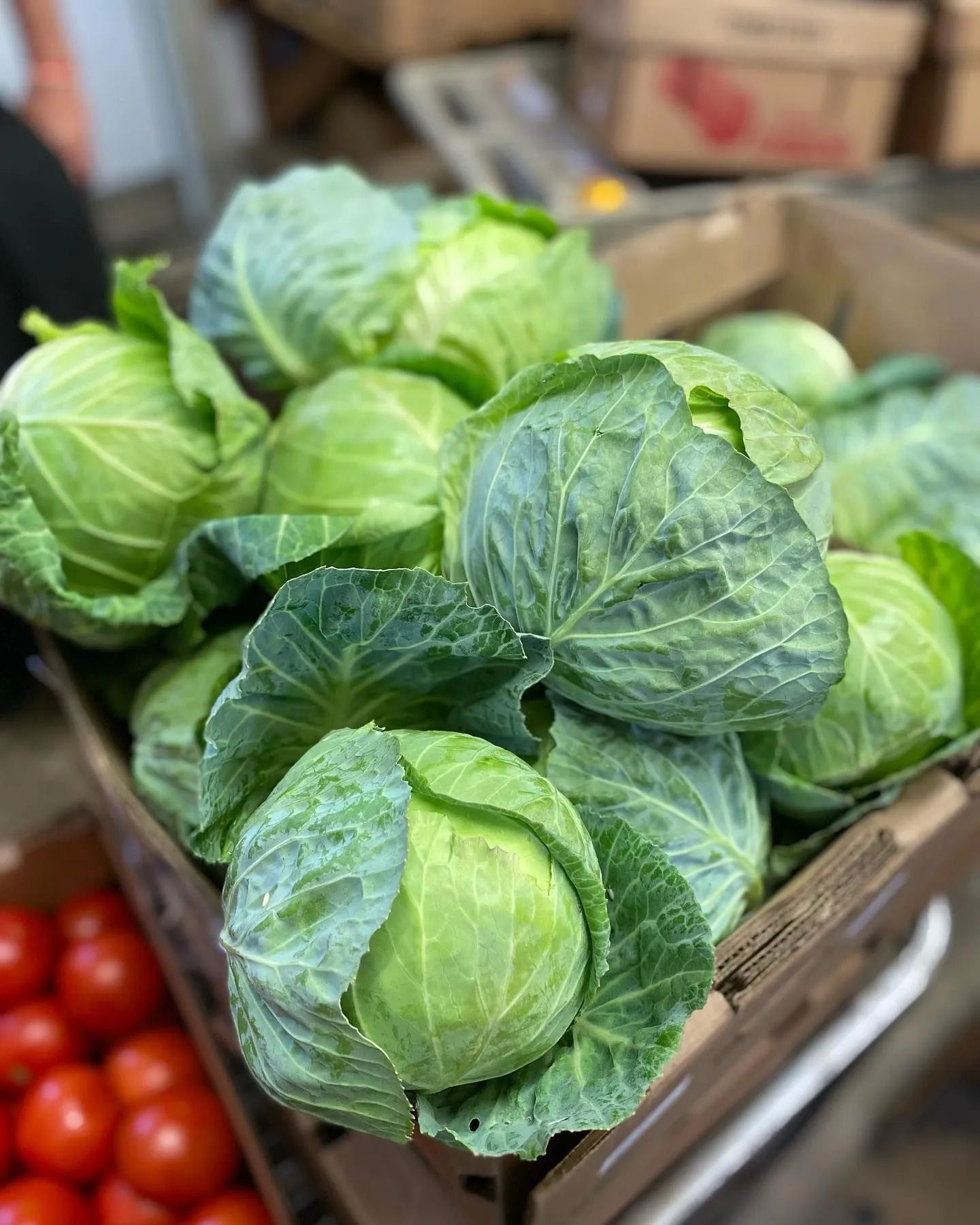 Gristick's | Food and Produce Market Lebanon PA