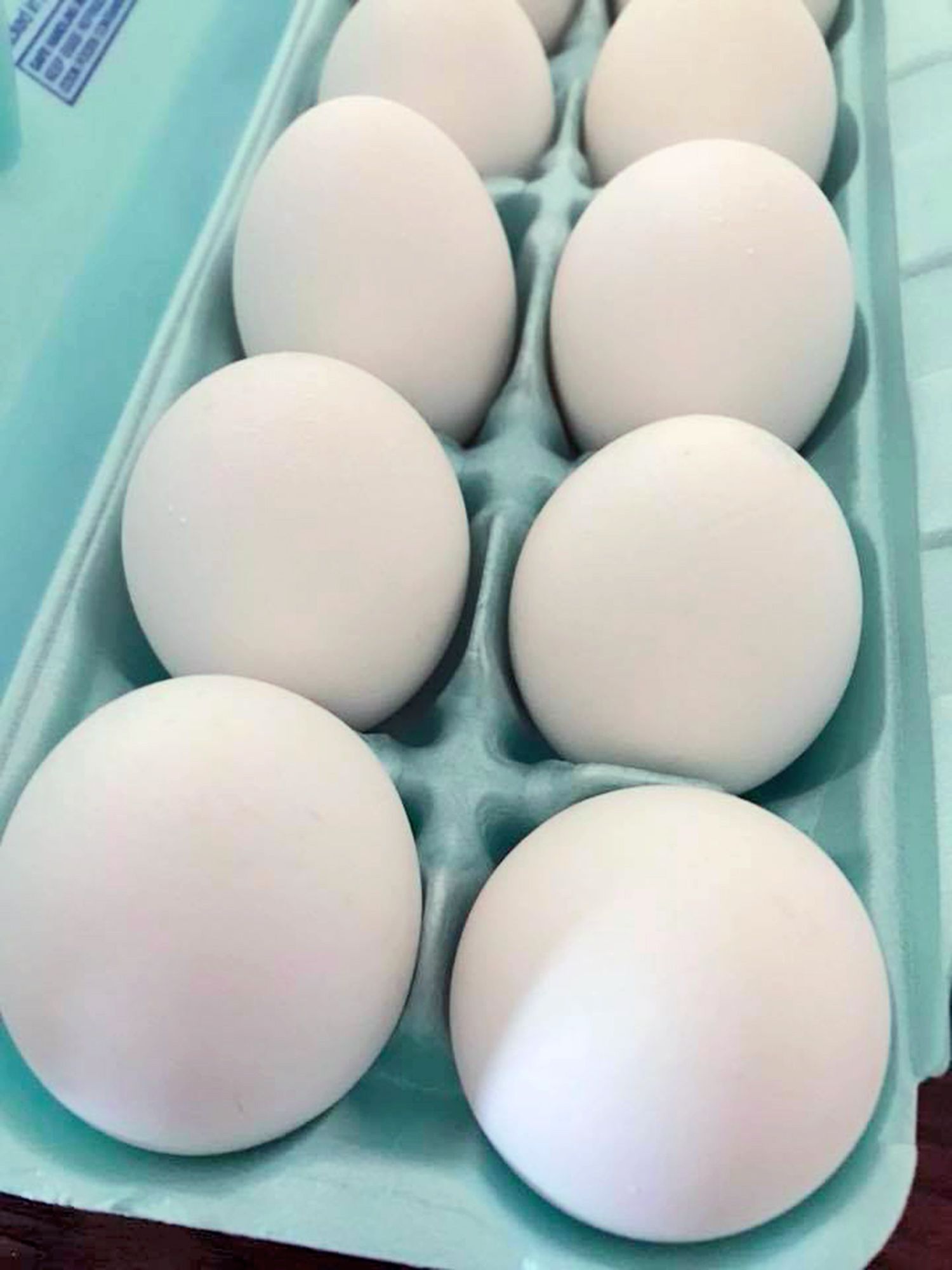 Milk | Fudge and Eggs | Lebanon, PA