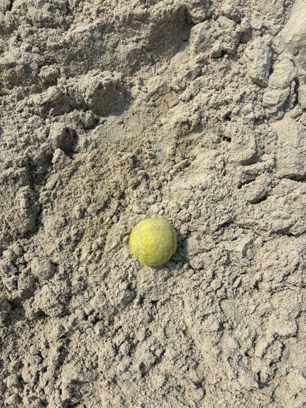 Mulch Delivery Virginia Beach, VA | Four Seasons Nursery