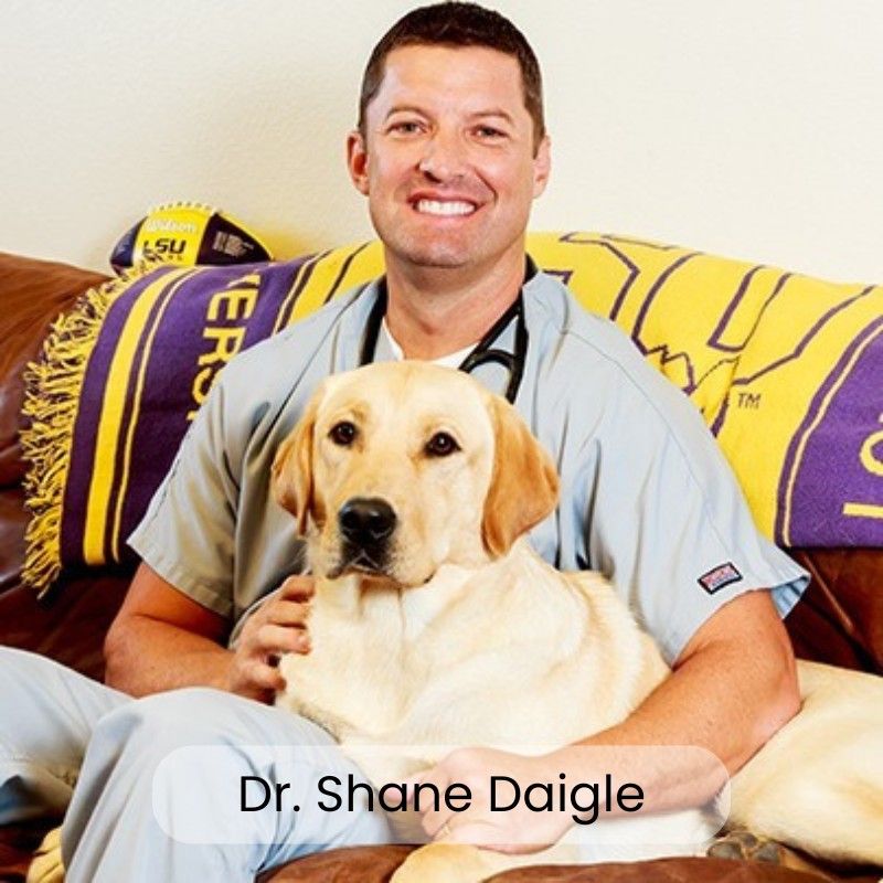 Animal Hospital in Leander, TX | Mercy Veterinary Hospital | Home