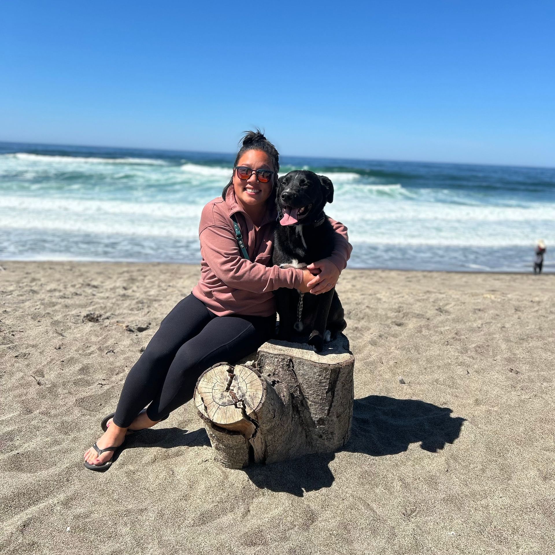 Who We Are | Marvin Pierce Dog Teacher LLC