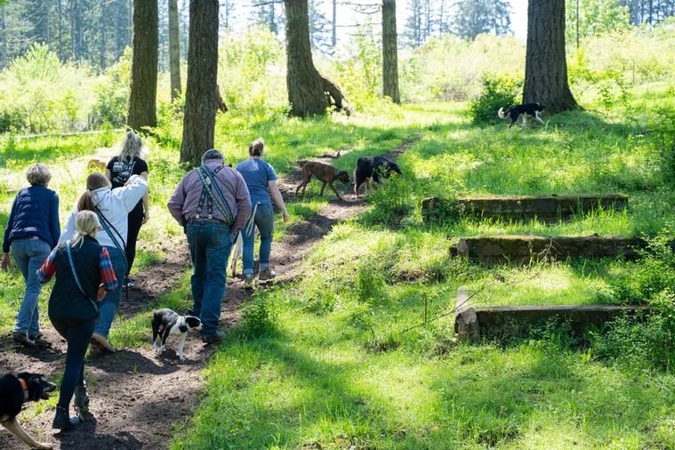 Photo Gallery | Marvin Pierce Dog Teacher LLC