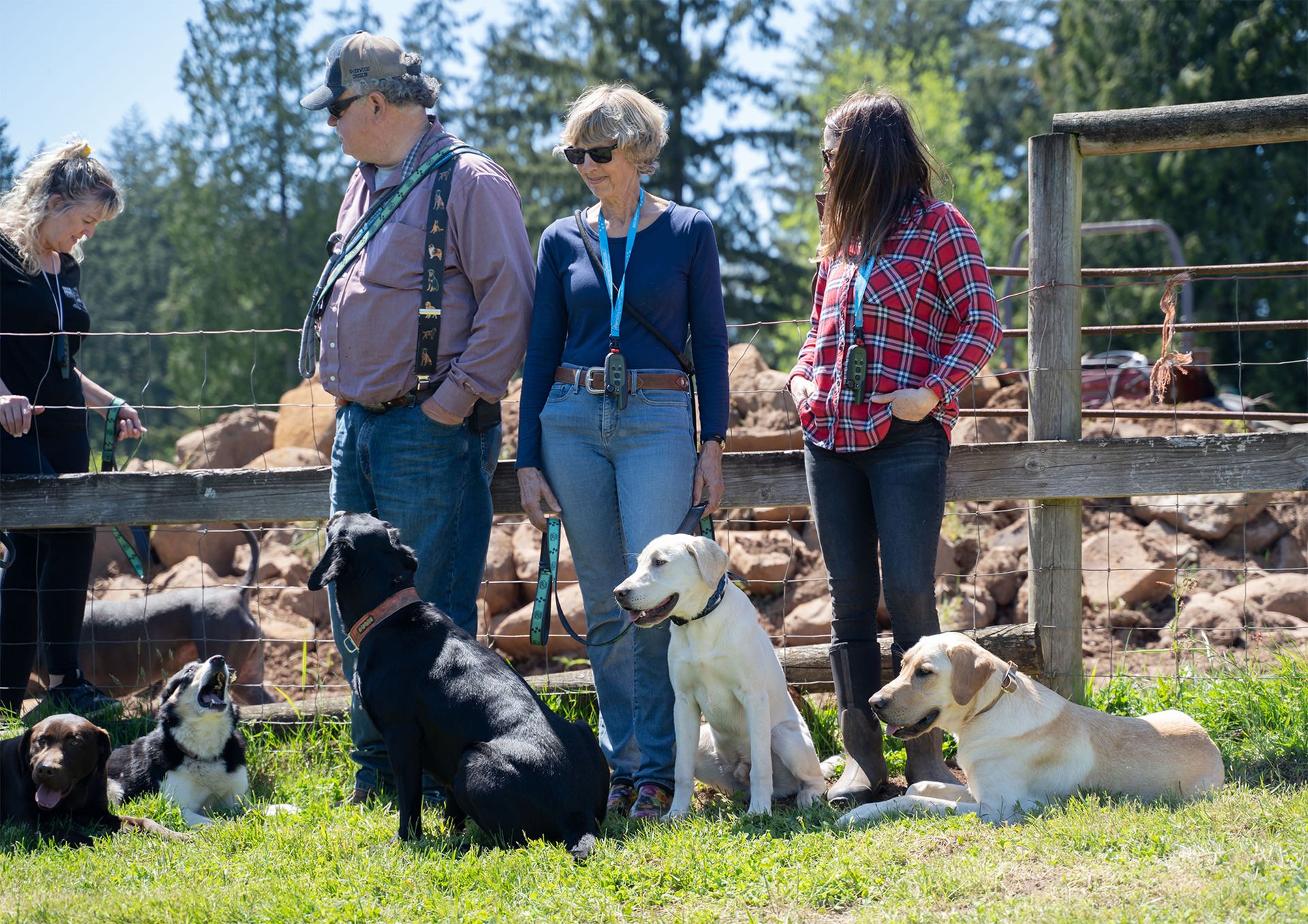 Photo Gallery | Marvin Pierce Dog Teacher LLC