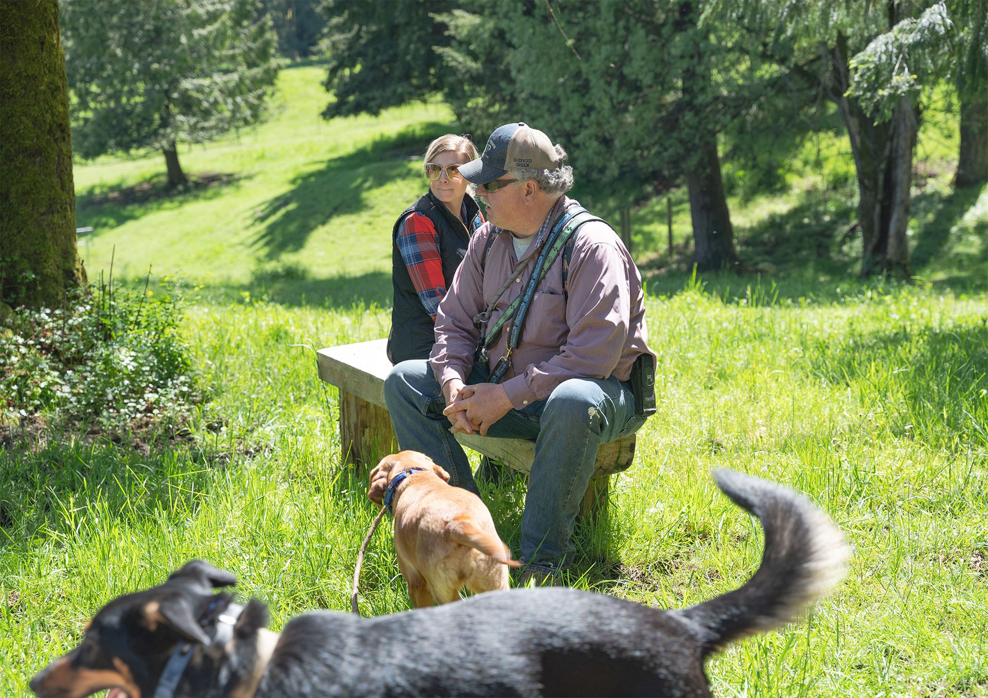 Photo Gallery | Marvin Pierce Dog Teacher LLC