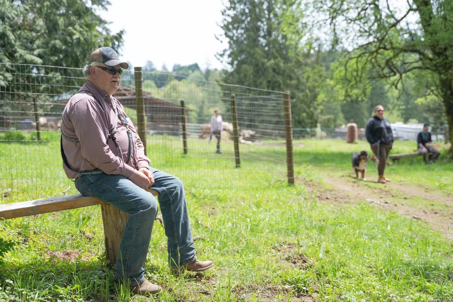 Photo Gallery | Marvin Pierce Dog Teacher LLC