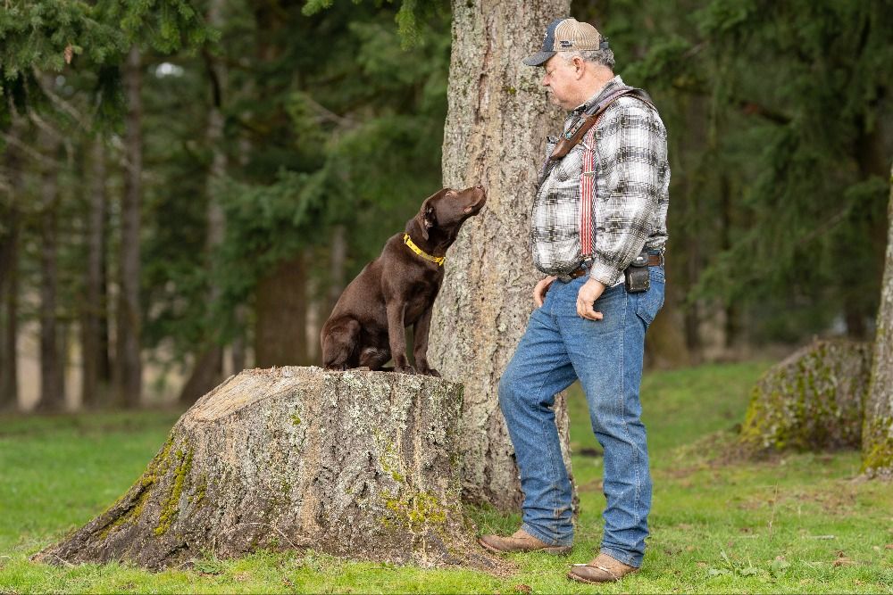 Photo Gallery | Marvin Pierce Dog Teacher LLC