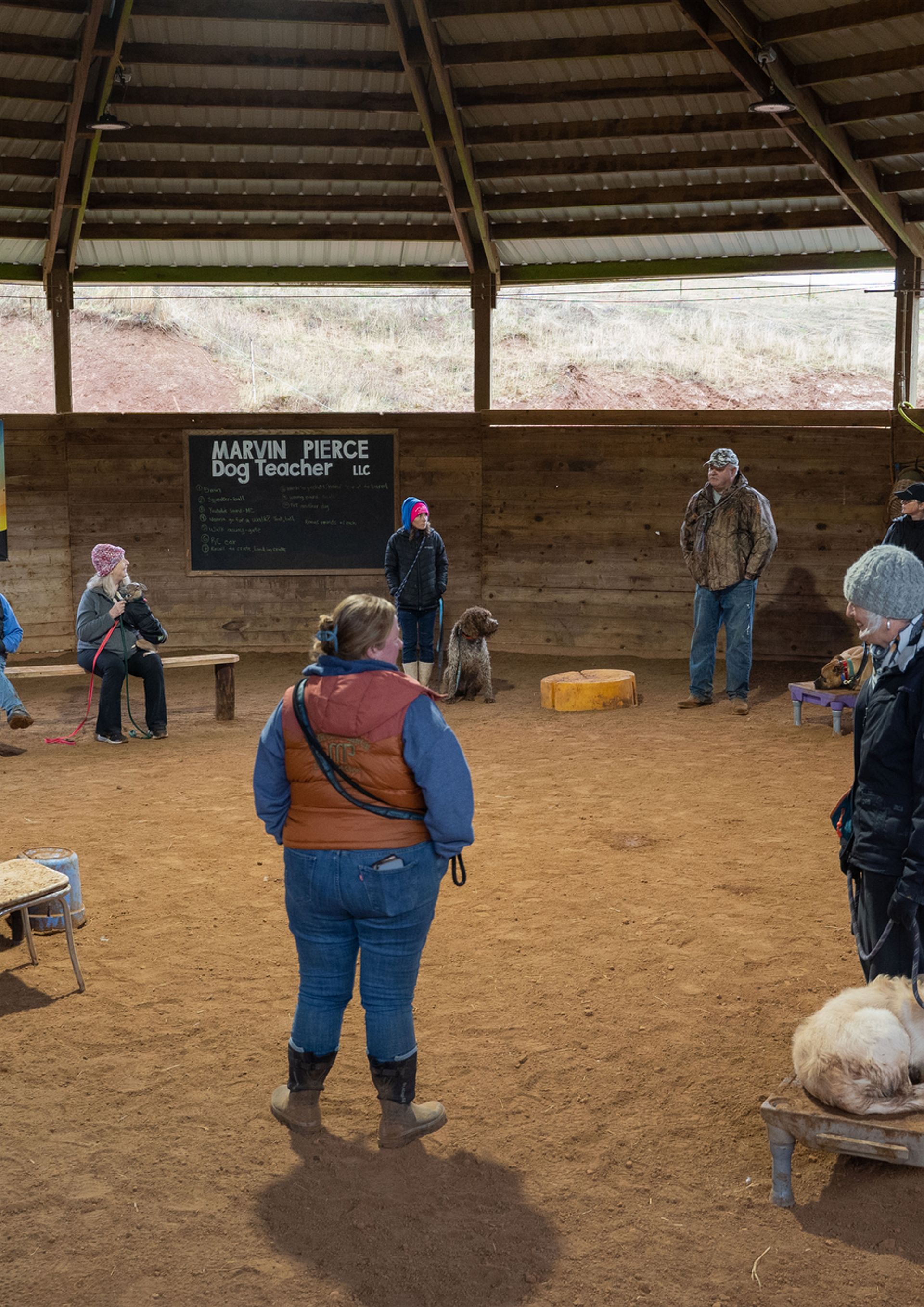 Photo Gallery | Marvin Pierce Dog Teacher LLC