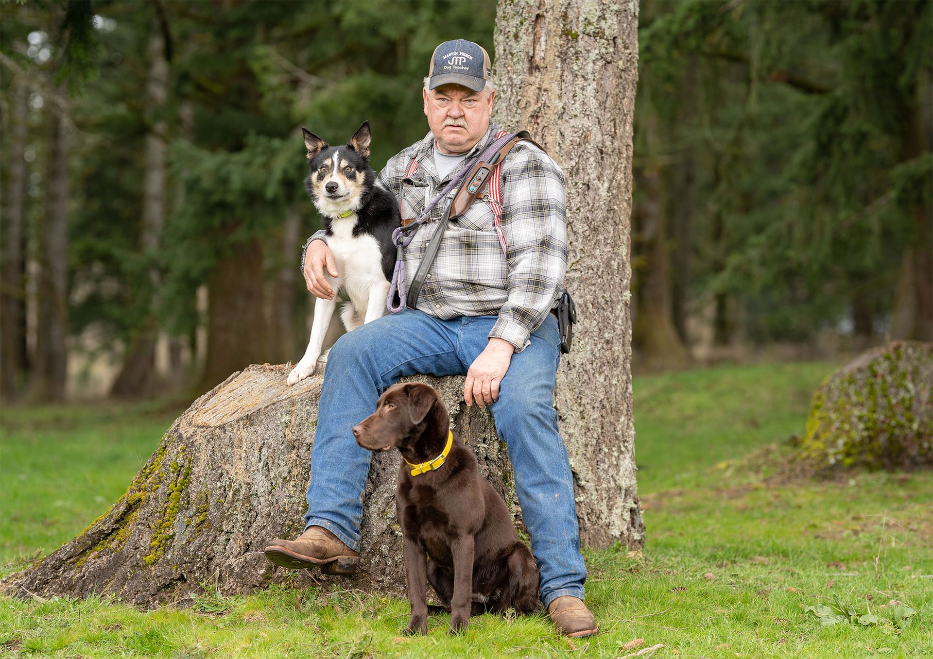 Photo Gallery | Marvin Pierce Dog Teacher LLC