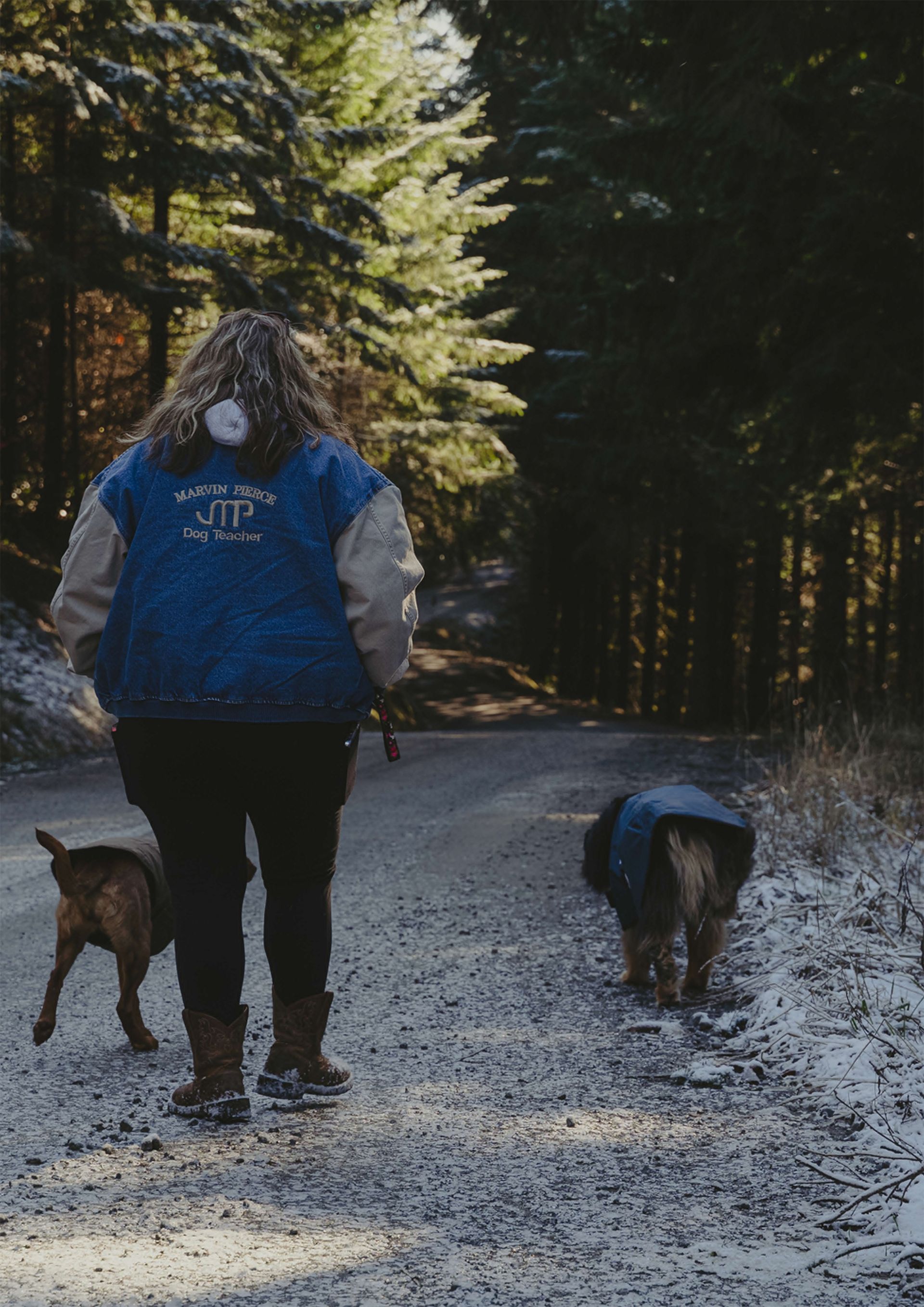 Photo Gallery | Marvin Pierce Dog Teacher LLC
