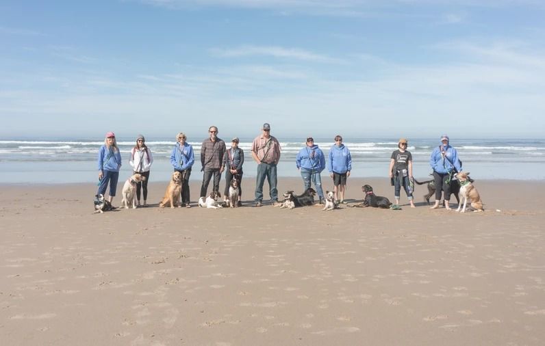 Photo Gallery | Marvin Pierce Dog Teacher LLC