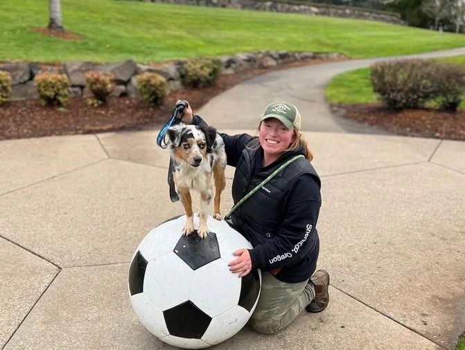 Photo Gallery | Marvin Pierce Dog Teacher LLC