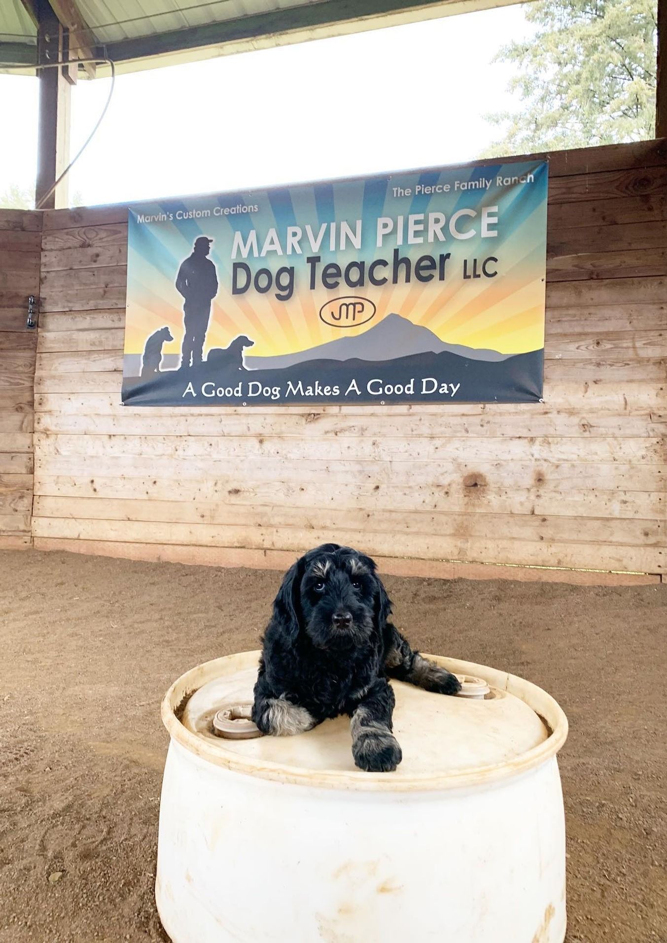 Photo Gallery | Marvin Pierce Dog Teacher LLC