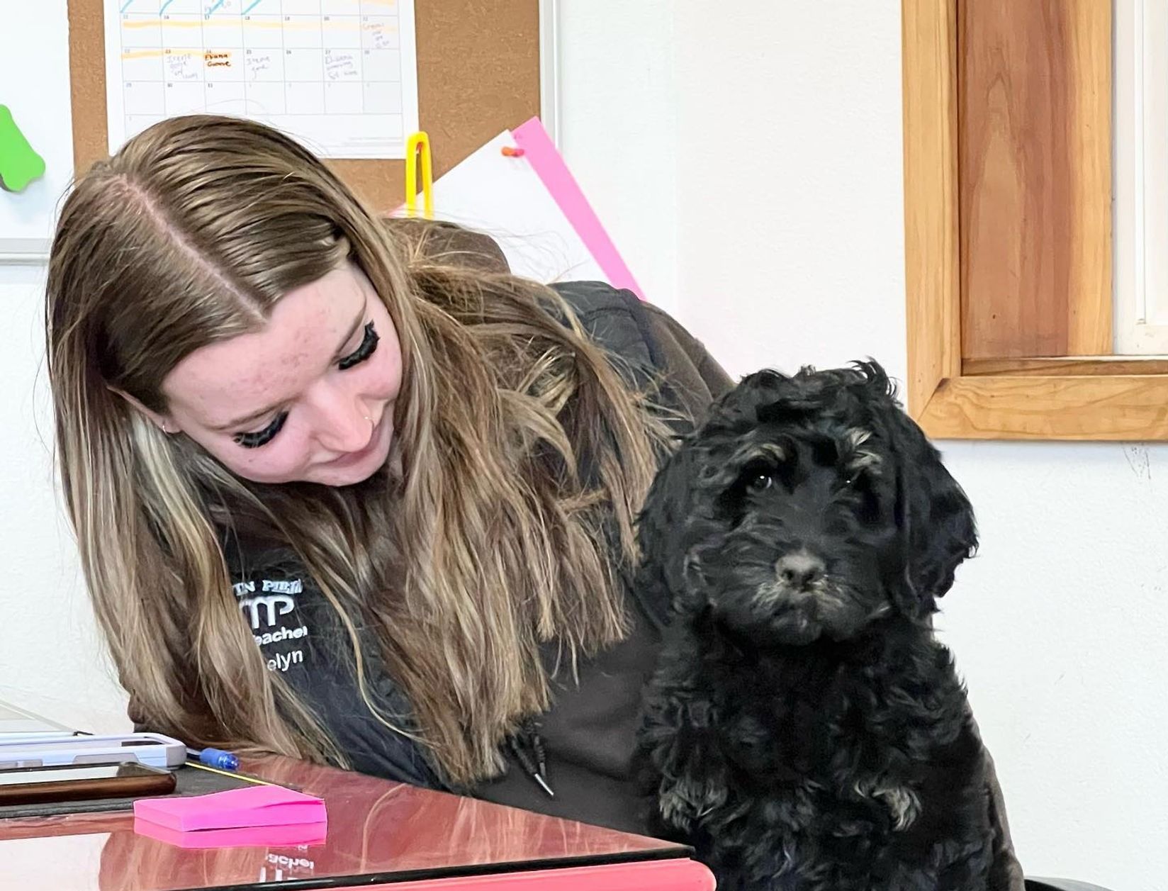 Photo Gallery | Marvin Pierce Dog Teacher LLC