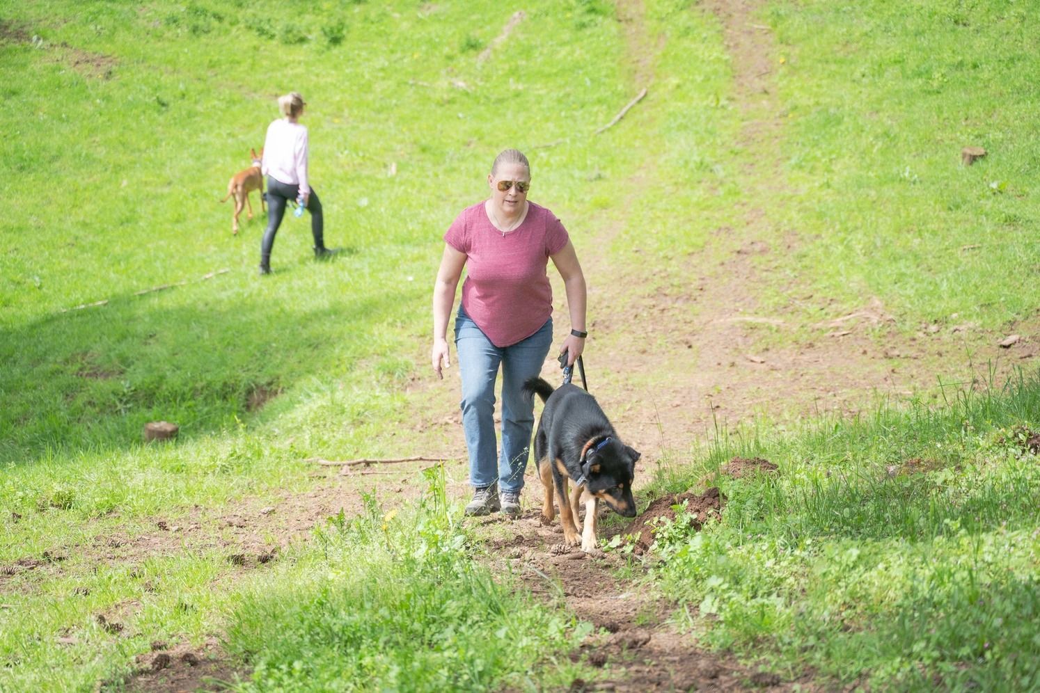 Photo Gallery | Marvin Pierce Dog Teacher LLC