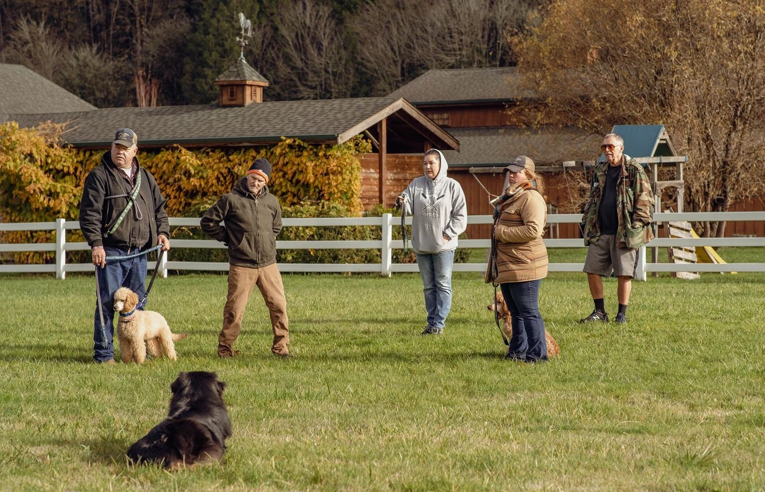 Photo Gallery | Marvin Pierce Dog Teacher LLC