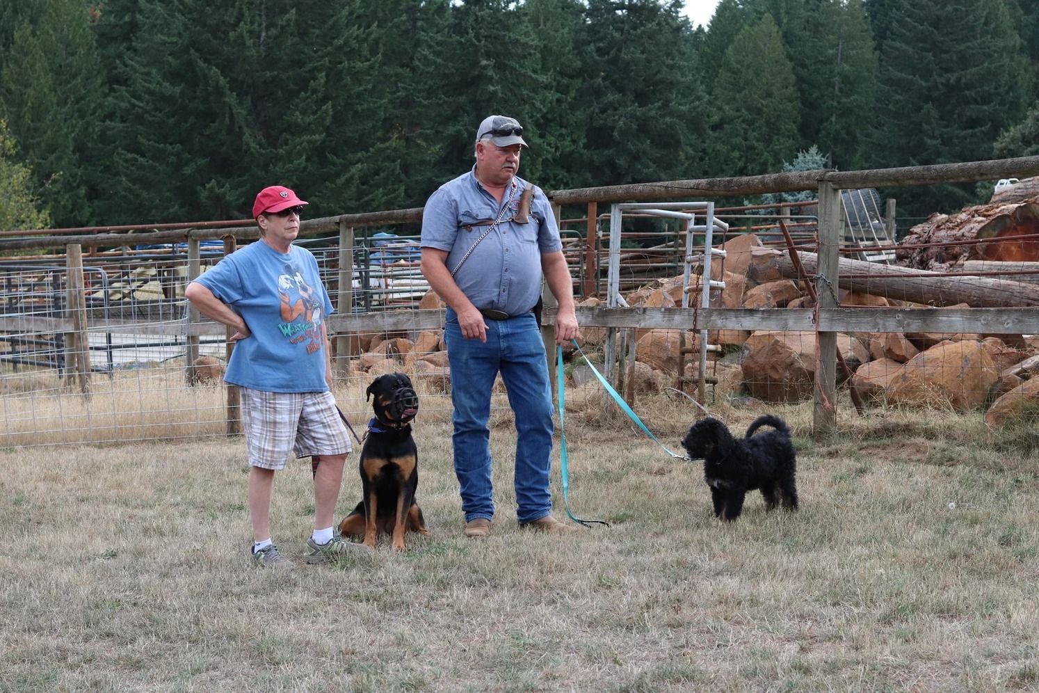 Photo Gallery | Marvin Pierce Dog Teacher LLC