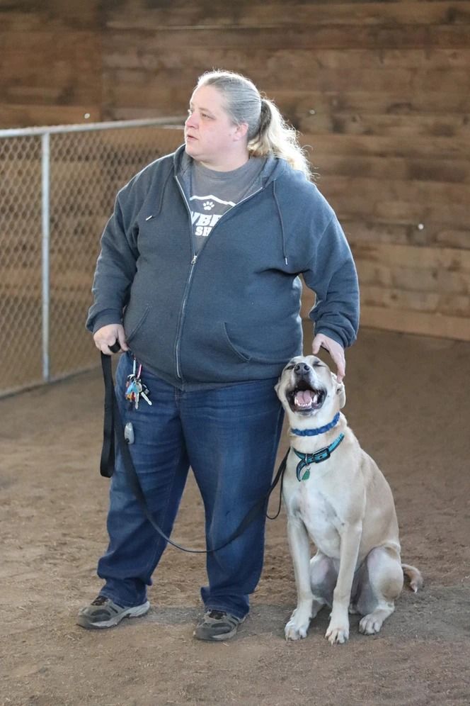 Photo Gallery | Marvin Pierce Dog Teacher LLC