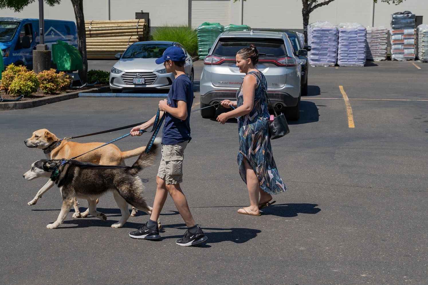 Photo Gallery | Marvin Pierce Dog Teacher LLC
