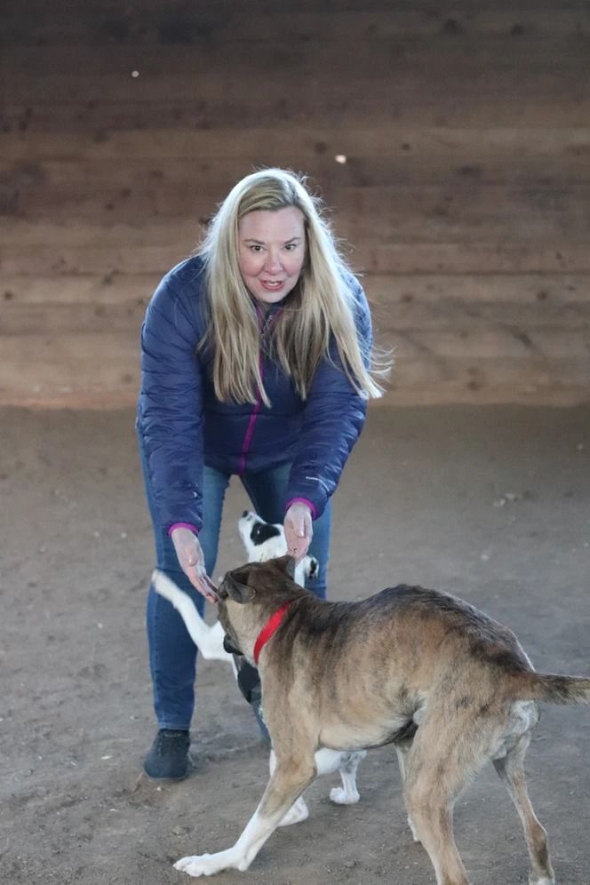 Photo Gallery | Marvin Pierce Dog Teacher LLC