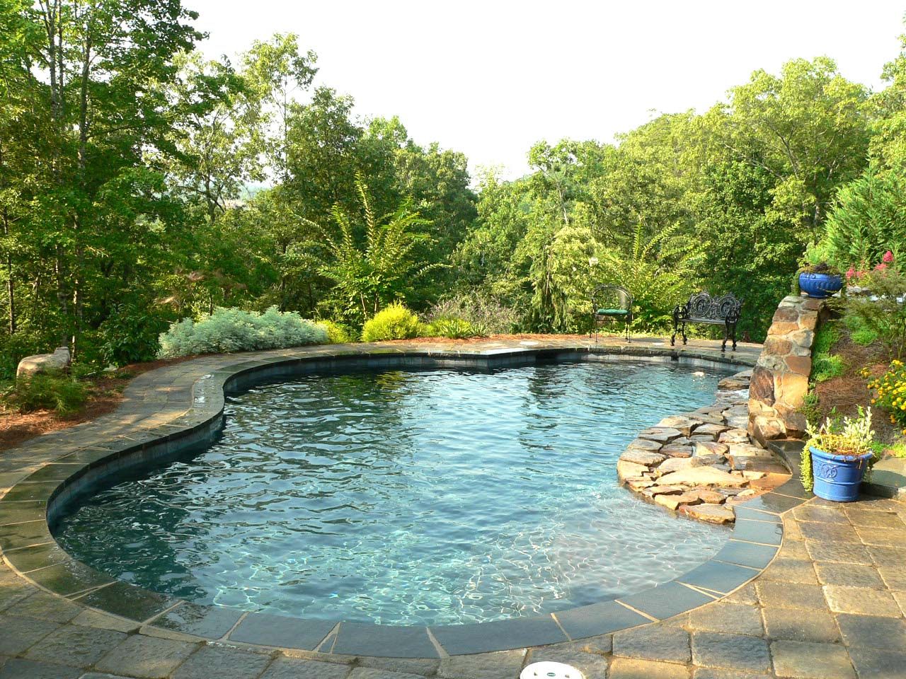Freeform Pools Gallery | Aqua Design Pools & Spas