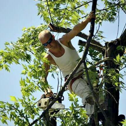Chris' Tree Care & Property Maintenance Photo Gallery Brookville