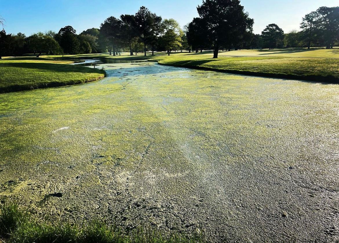 Pond and Lake Management | MD, DE, and VA