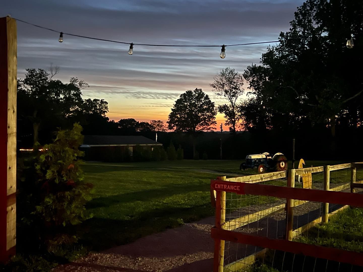 Gallery | Nuzzo's Farm