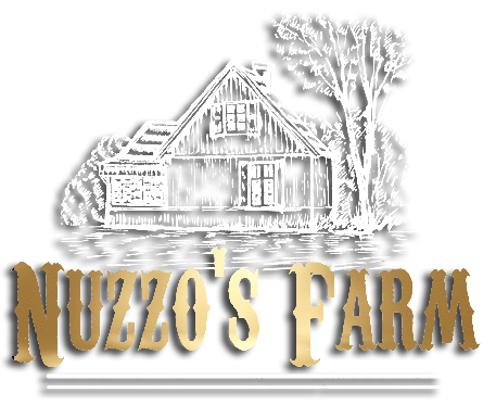 Event Venue Services | Nuzzo's Farm | Branford, CT