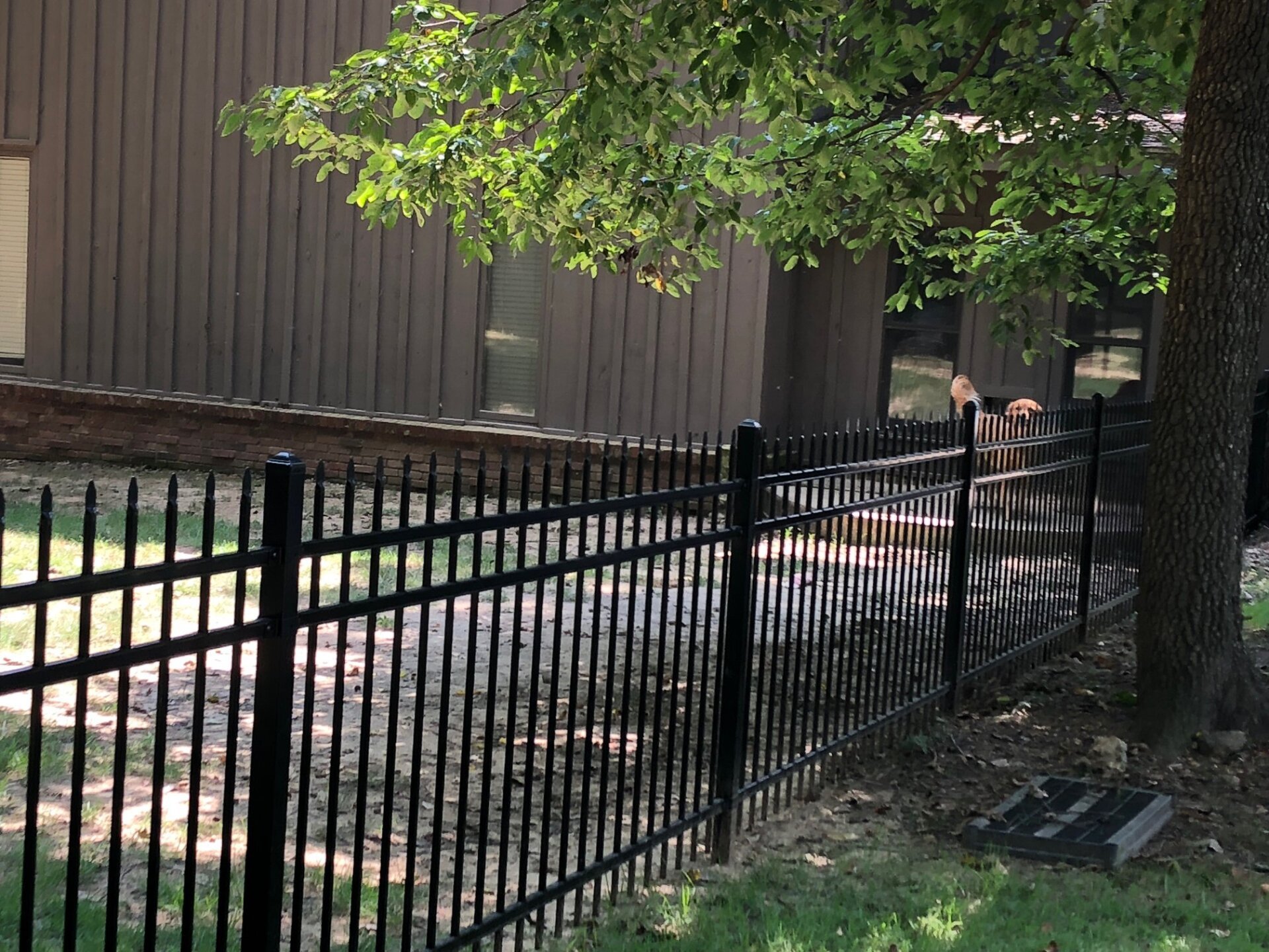 Ramm Fencing LLC Photo Gallery | Dyersburg, TN