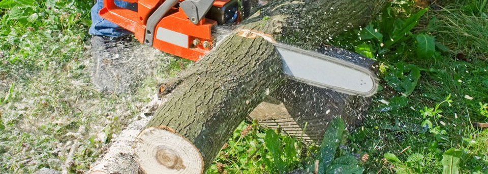 Busy Beaver Tree Service - Wyoming, PA | 570-333-4478